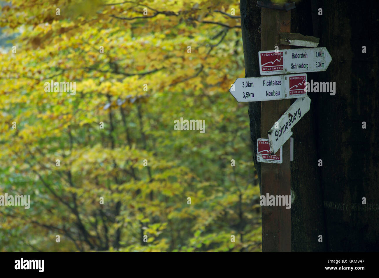 Autumn forest and hiking signs at the Nusshardt, Fichtel Mountains ...
