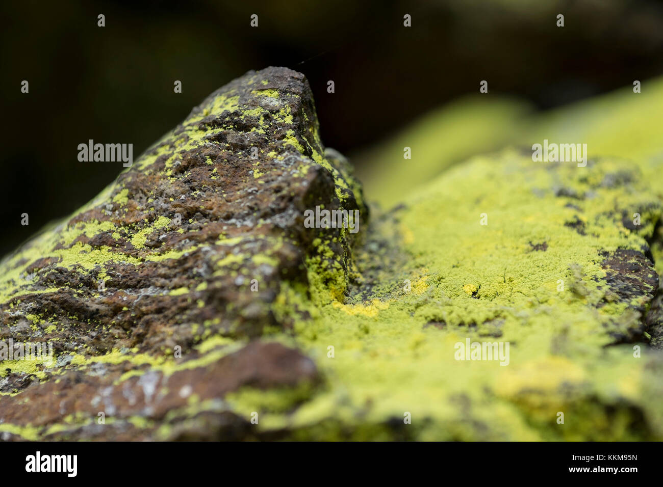 On boulder hi-res stock photography and images - Alamy