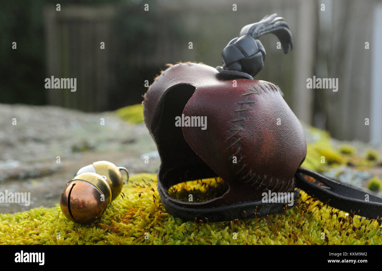 Eagle bonnet and little bell Stock Photo - Alamy