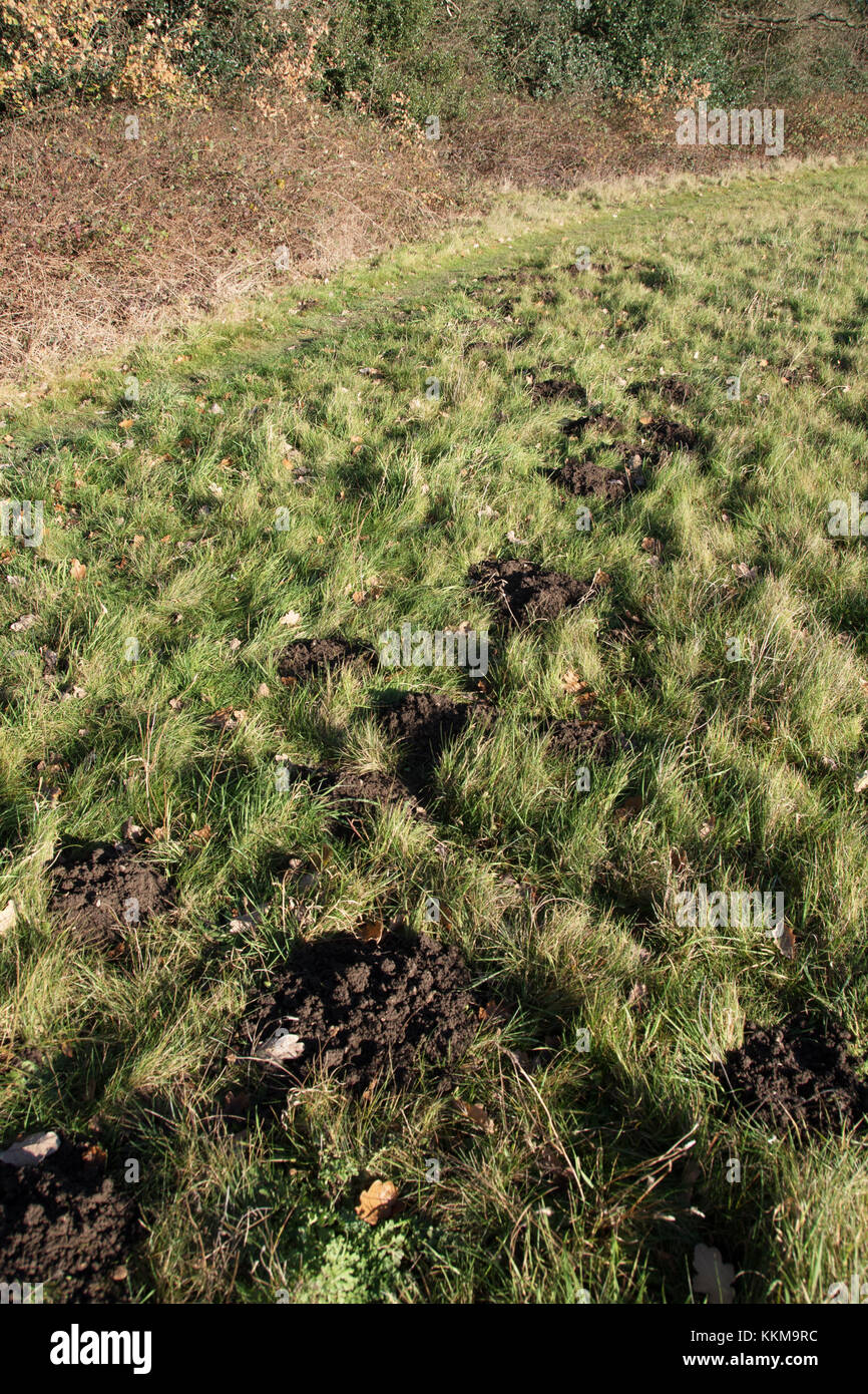 Mound of loose soil hi-res stock photography and images - Alamy