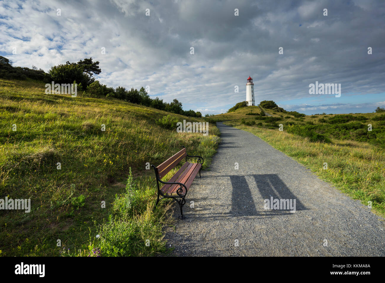 The highland of the island Hiddensee with single trees on the natural ...