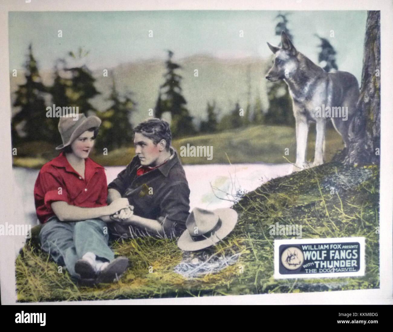 The lobby card for 'Wolf Fangs' highlights the film's theme, likely ...