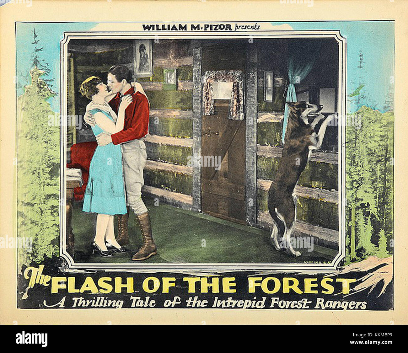 'Flash of the Forest' is a 1920s silent film, and this lobby card ...
