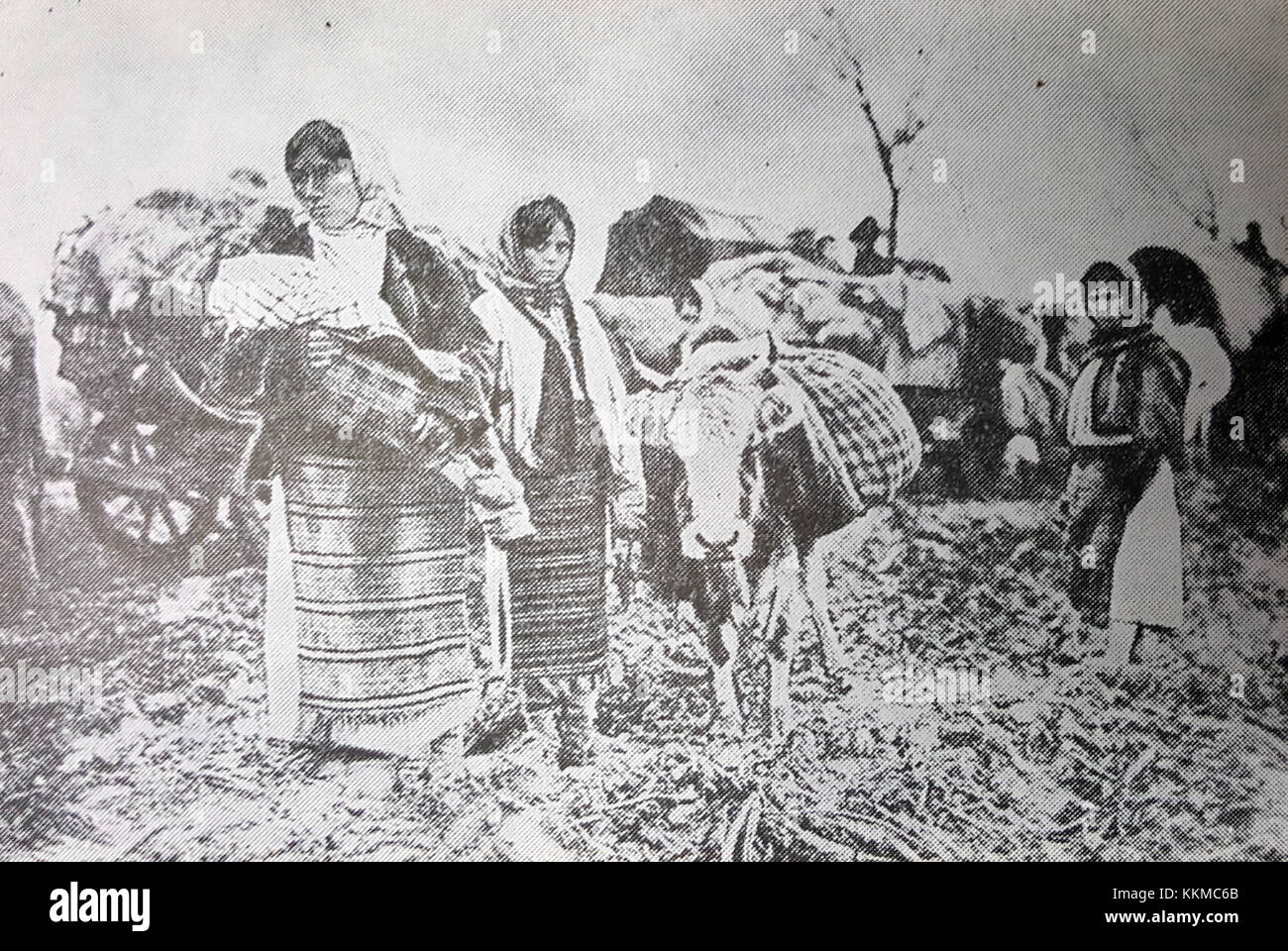 Refugees world war i hi-res stock photography and images - Alamy
