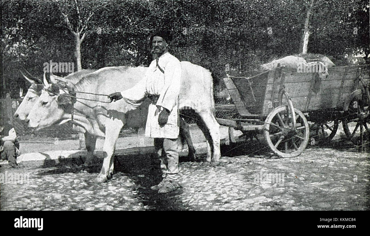 A historical photo album titled *Armata 9 Germana*, depicting a Roman ...