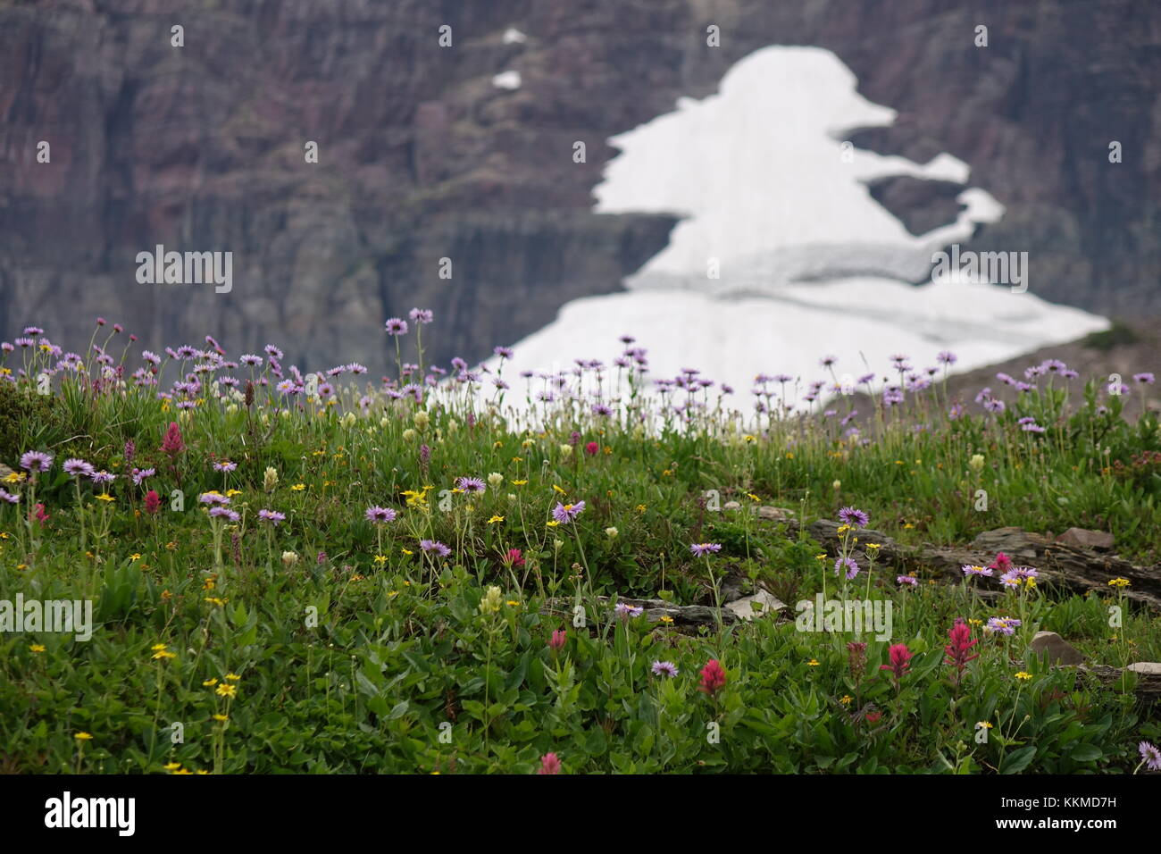Logan meadow hi-res stock photography and images - Alamy
