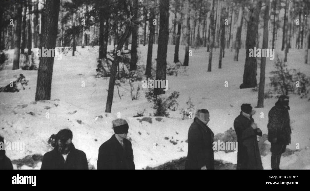 The execution at Palmiry refers to the mass executions carried out by ...