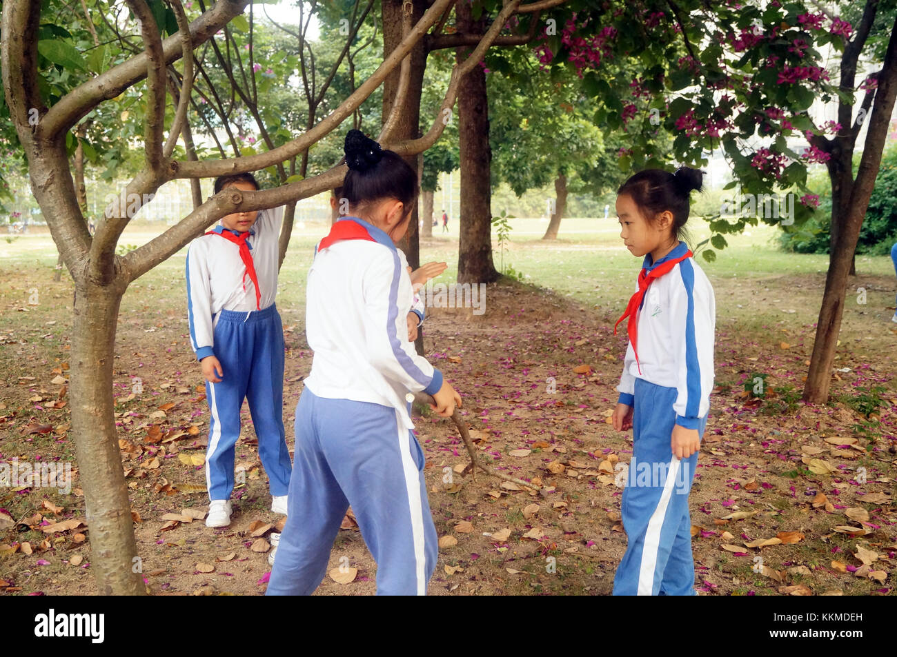 Primary school girls hi-res stock photography and images - Alamy