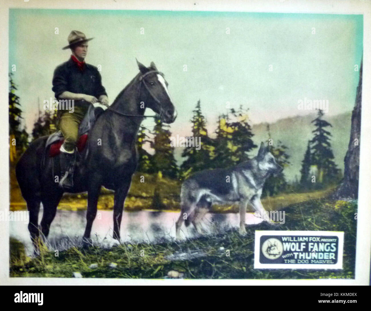 This lobby card from 'Wolf Fangs' emphasizes the dramatic portrayal of ...