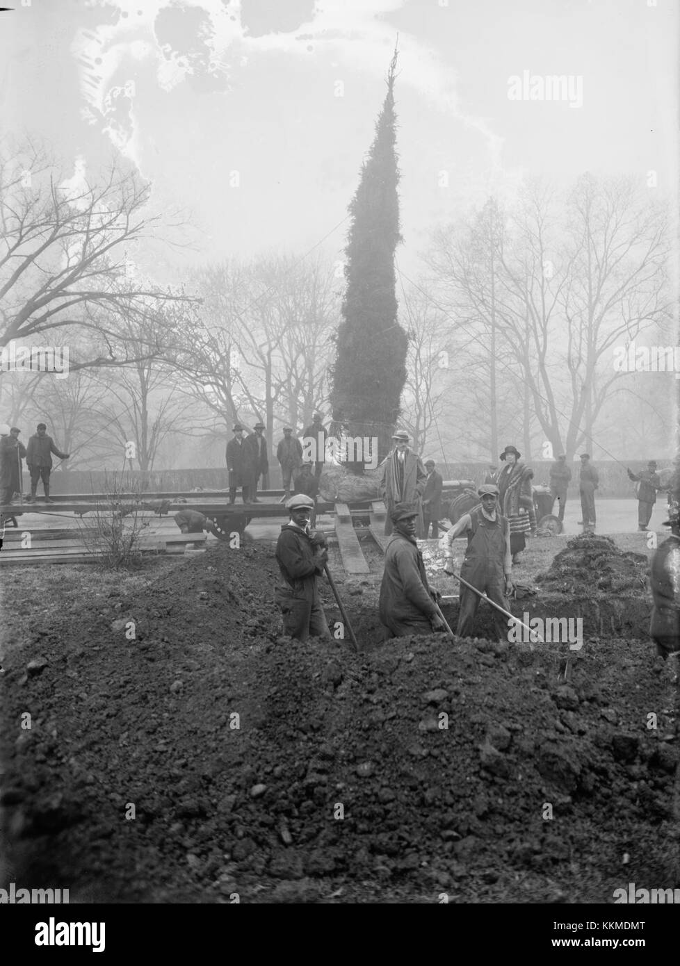 Community christmas tree hi-res stock photography and images - Alamy