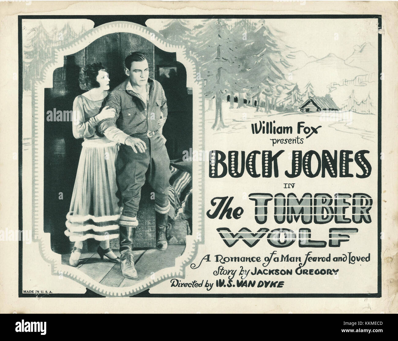 This lobby card features an image from the film *Timber Wolf*, a movie ...