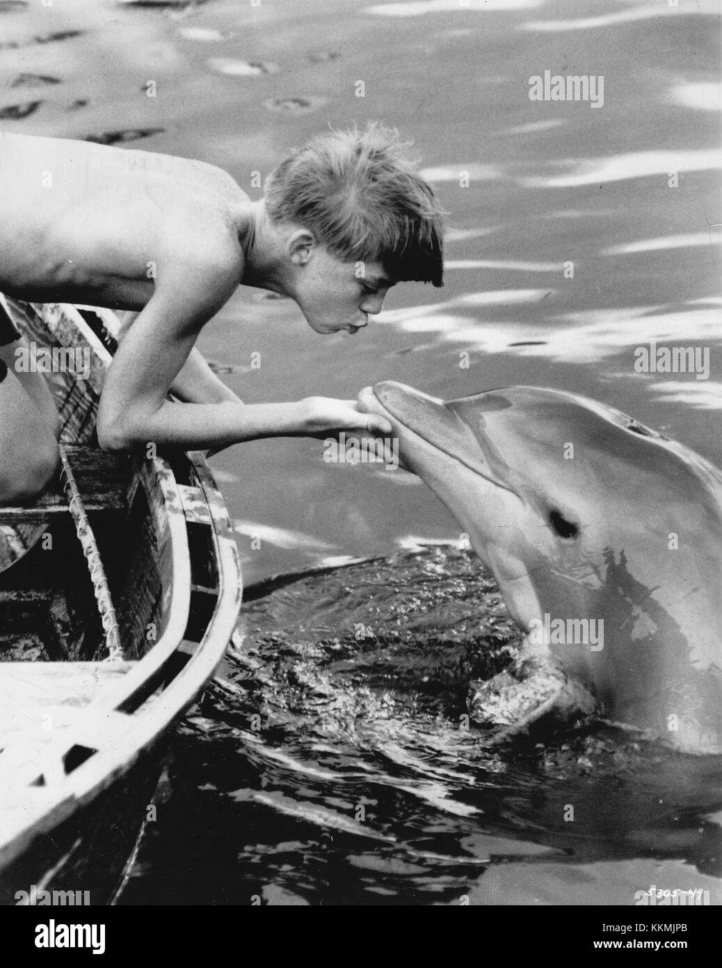 Flipper is a popular TV show from the 1960s, starring Luke Halpin as ...
