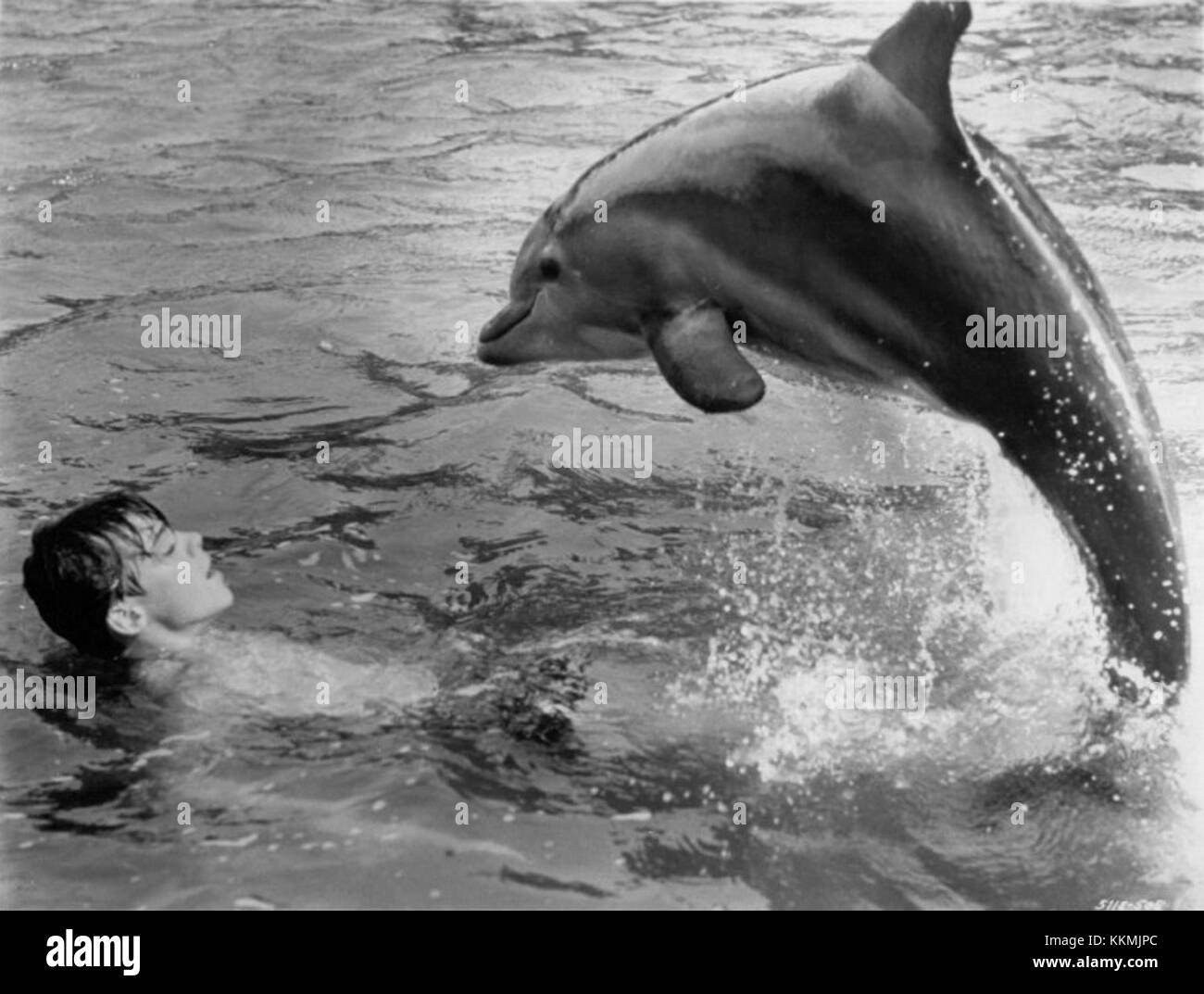 Flipper's new adventure hi-res stock photography and images - Alamy