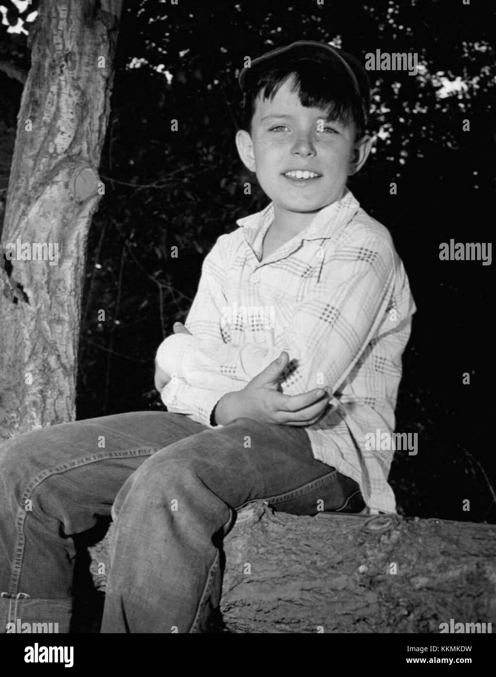 Jerry Mathers, best known for his role as Beaver Cleaver in the TV show ...