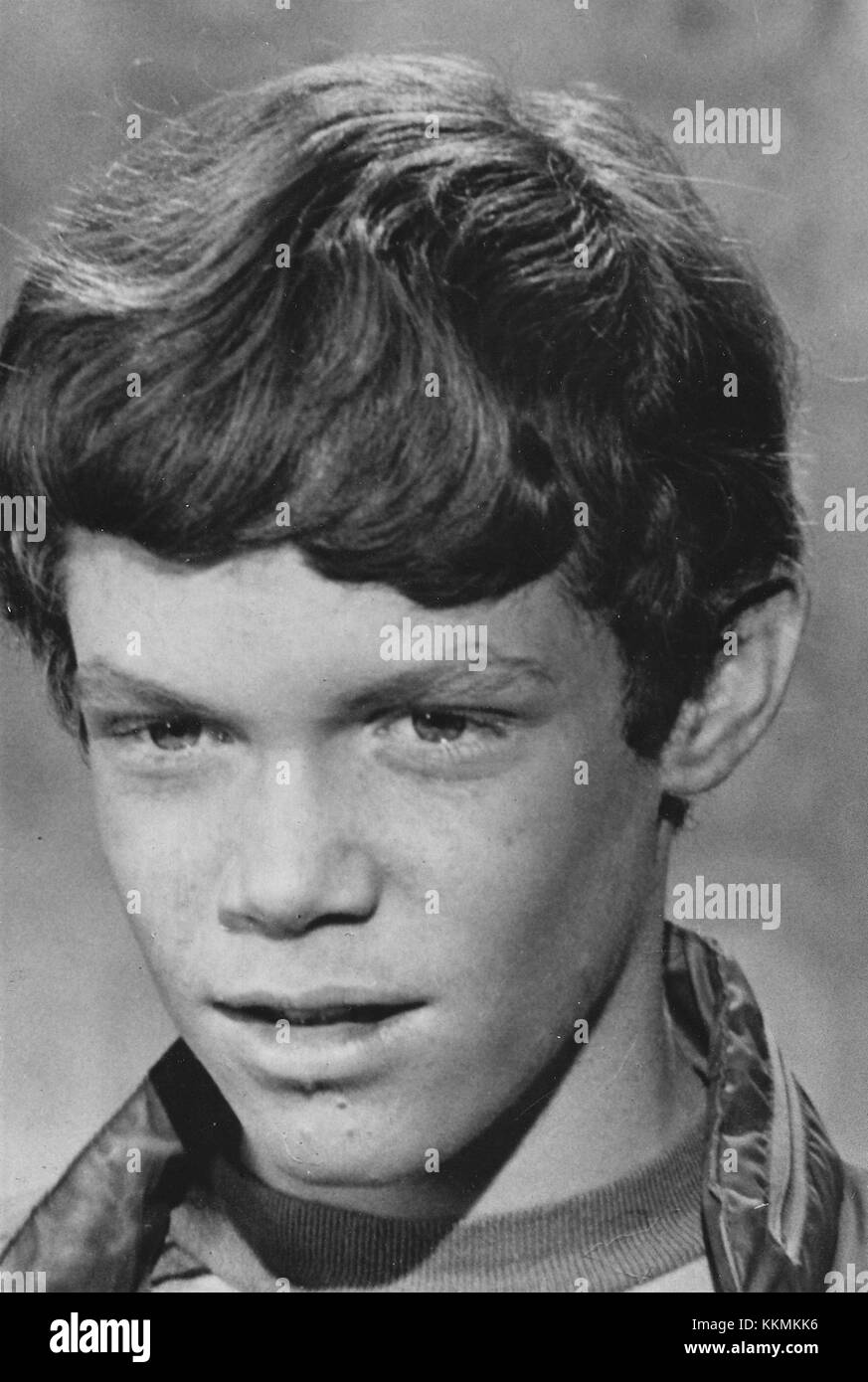 Mitch Vogel, an American actor, is known for his role in the popular ...