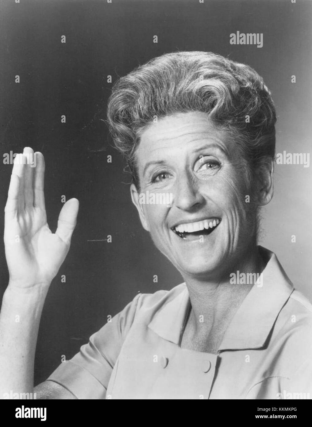 Ann B. Davis, a talented American actress, is best known for her role ...