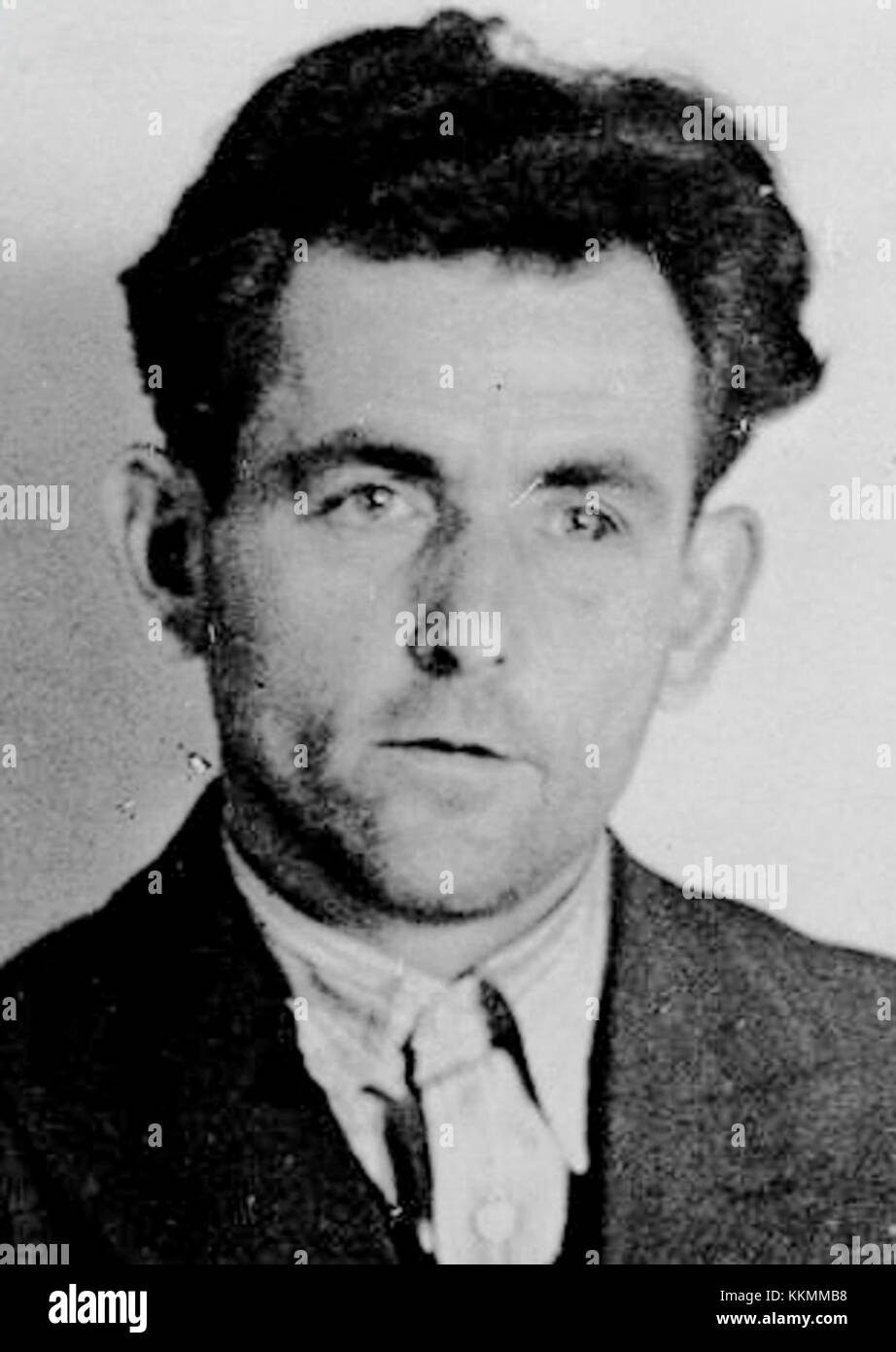 Georg Elser was a German resistance fighter during World War II who ...