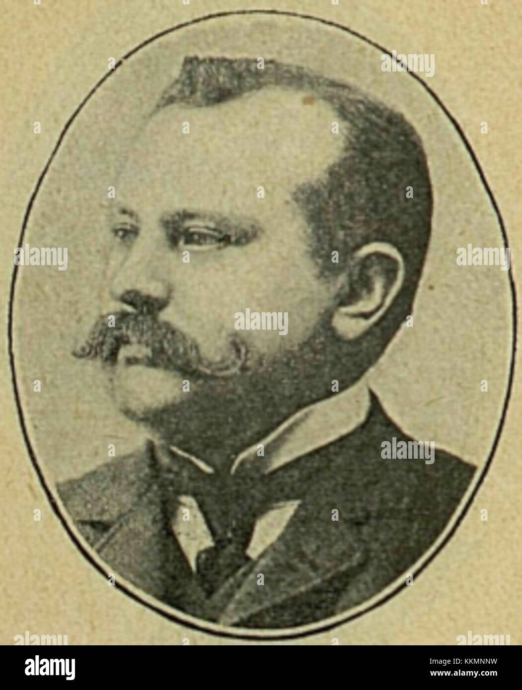 Alexandr Vasilevich Demidov Stock Photo - Alamy