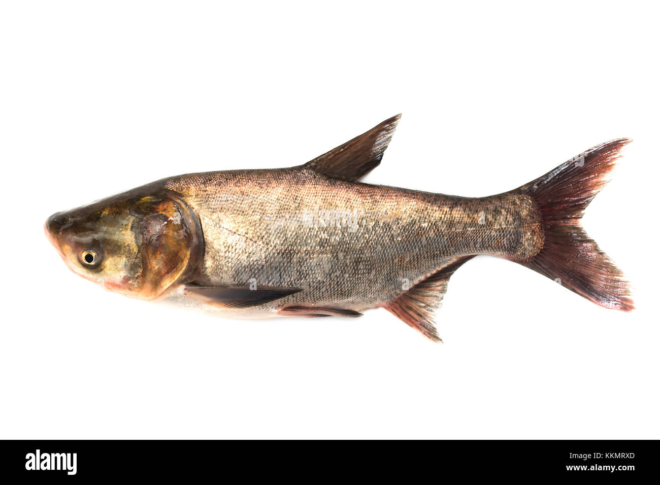 Fresh fish on cutting Cut Out Stock Images & Pictures - Alamy