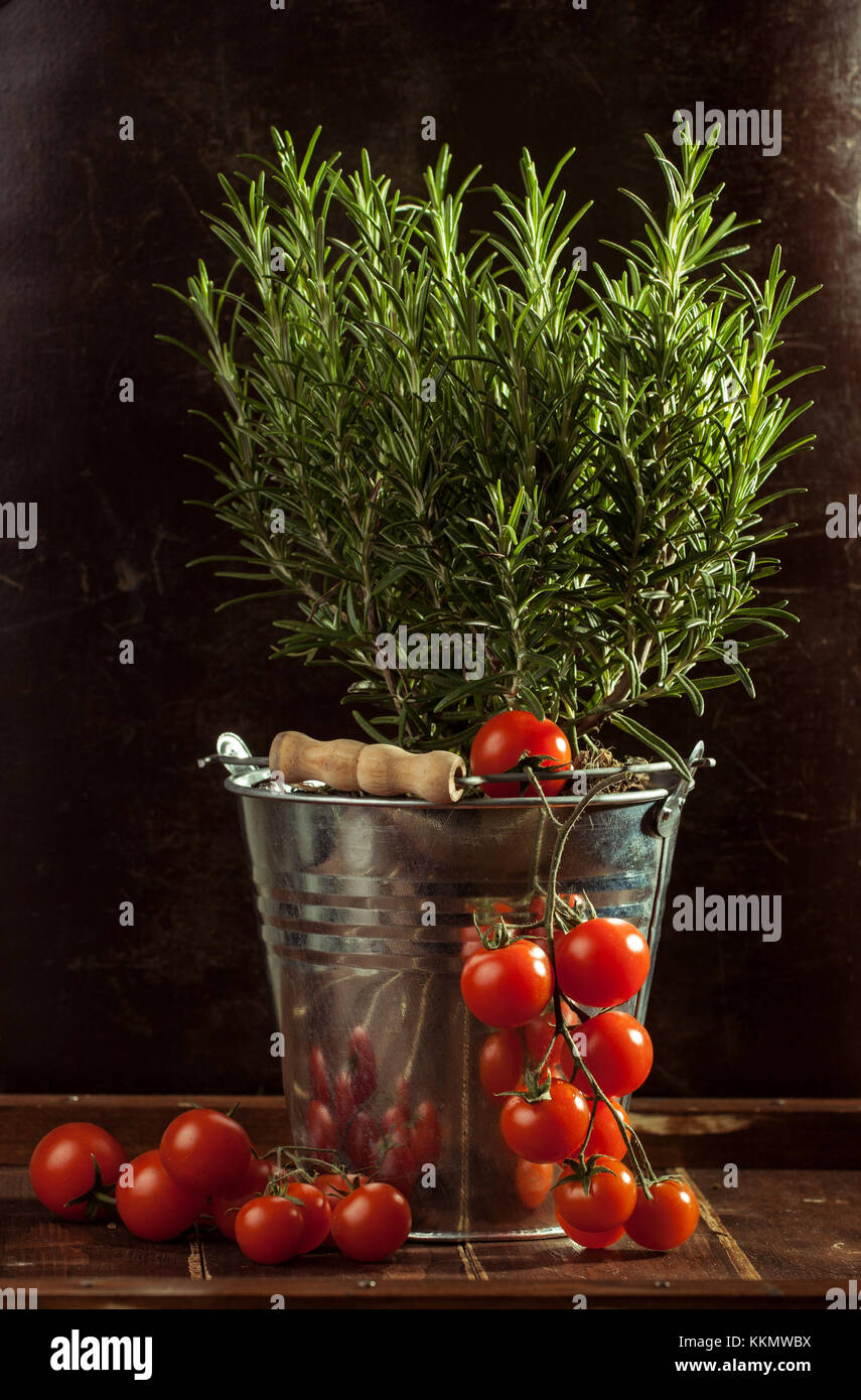 Bunch of rosemary hi-res stock photography and images - Alamy