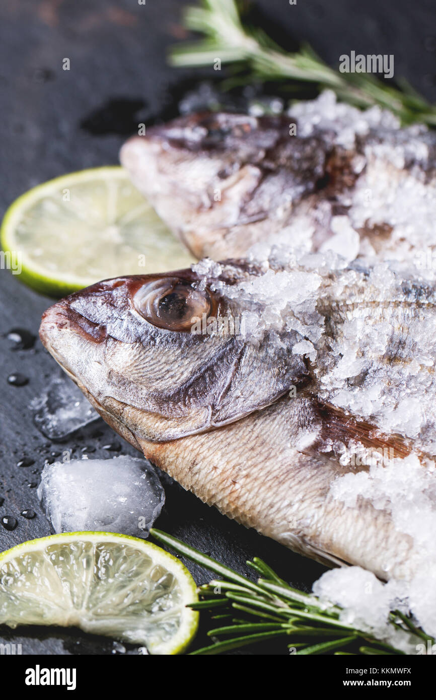 Close up of raw fish bream with rosemary and lime under ice over black ...