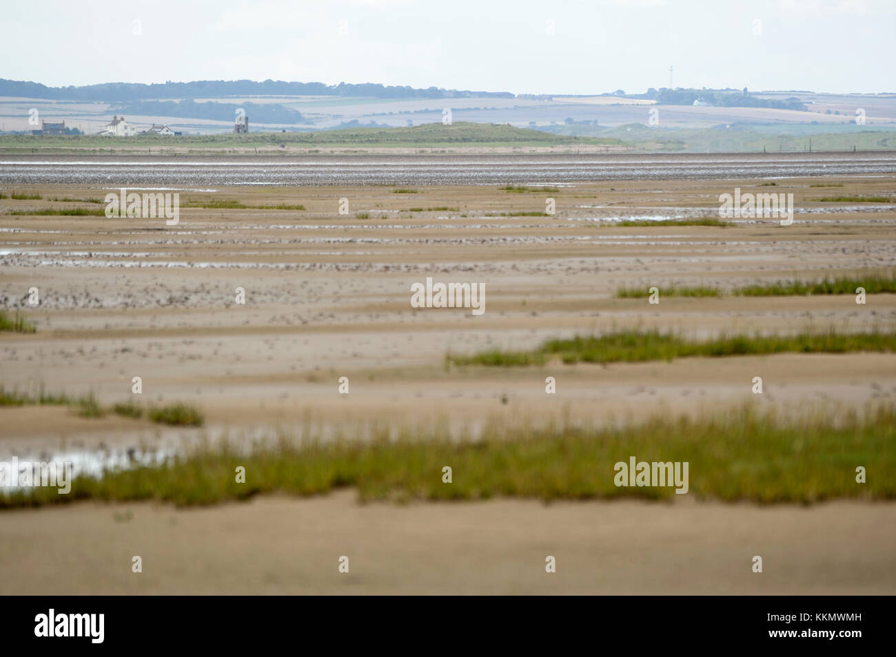 Mudflats, Holy Island, Lindisfarne Stock Photo - Alamy