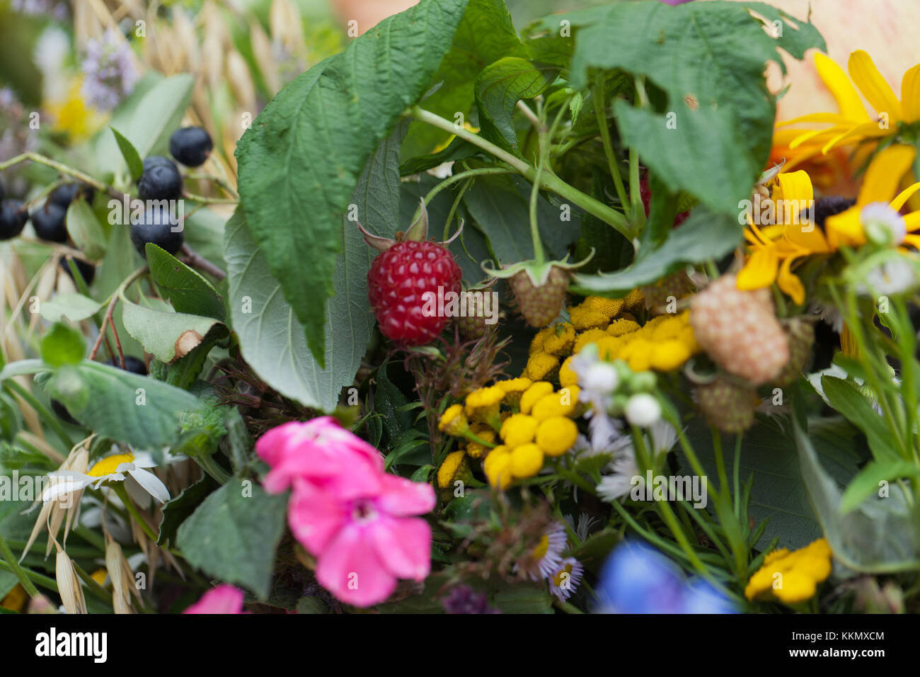 beautiful bouquets of flowers and herbs Stock Photo - Alamy
