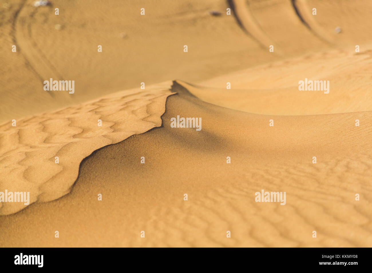 Dubai conservation desert hi-res stock photography and images - Alamy