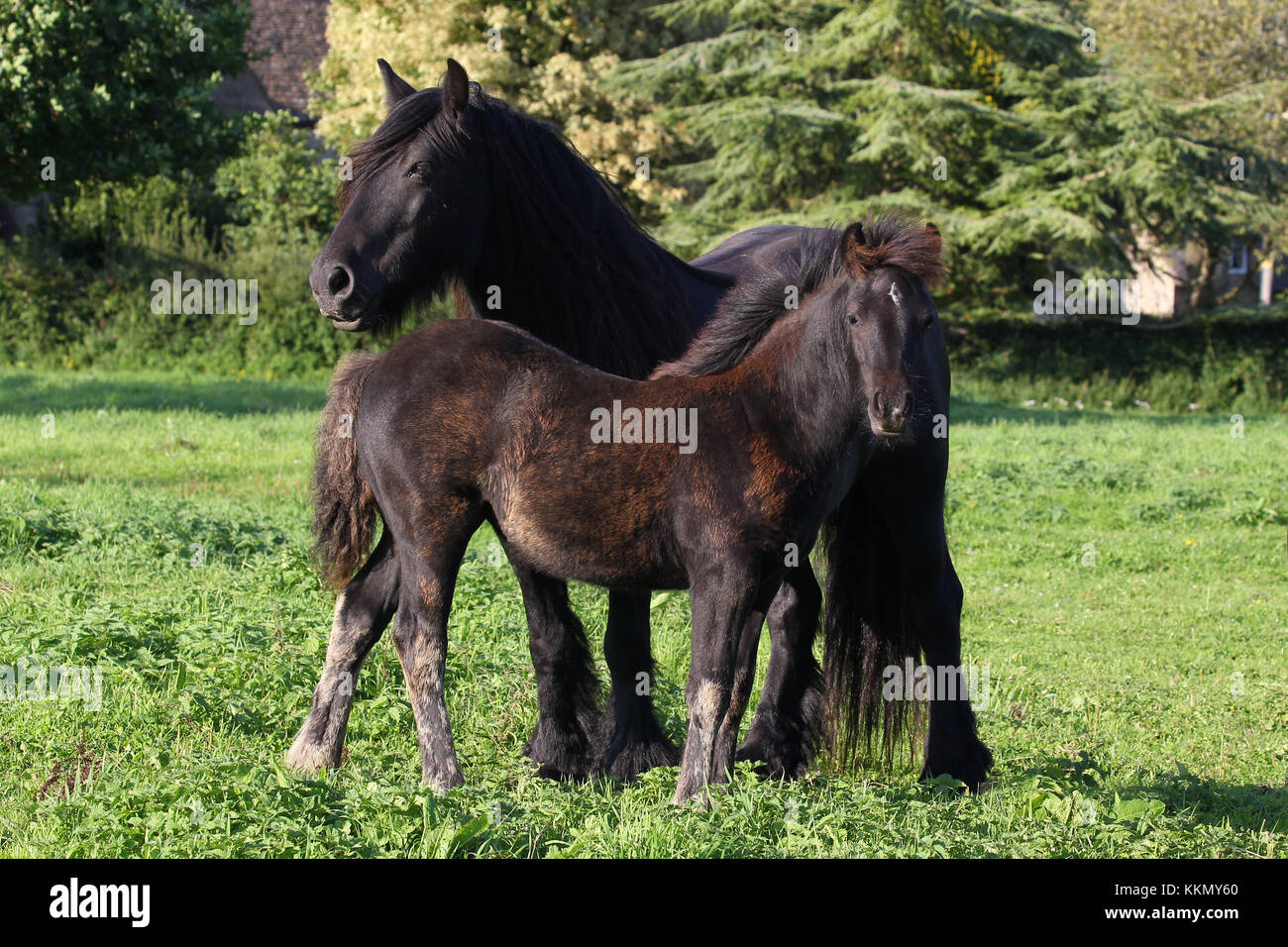 Cute free hi-res stock photography and images - Alamy