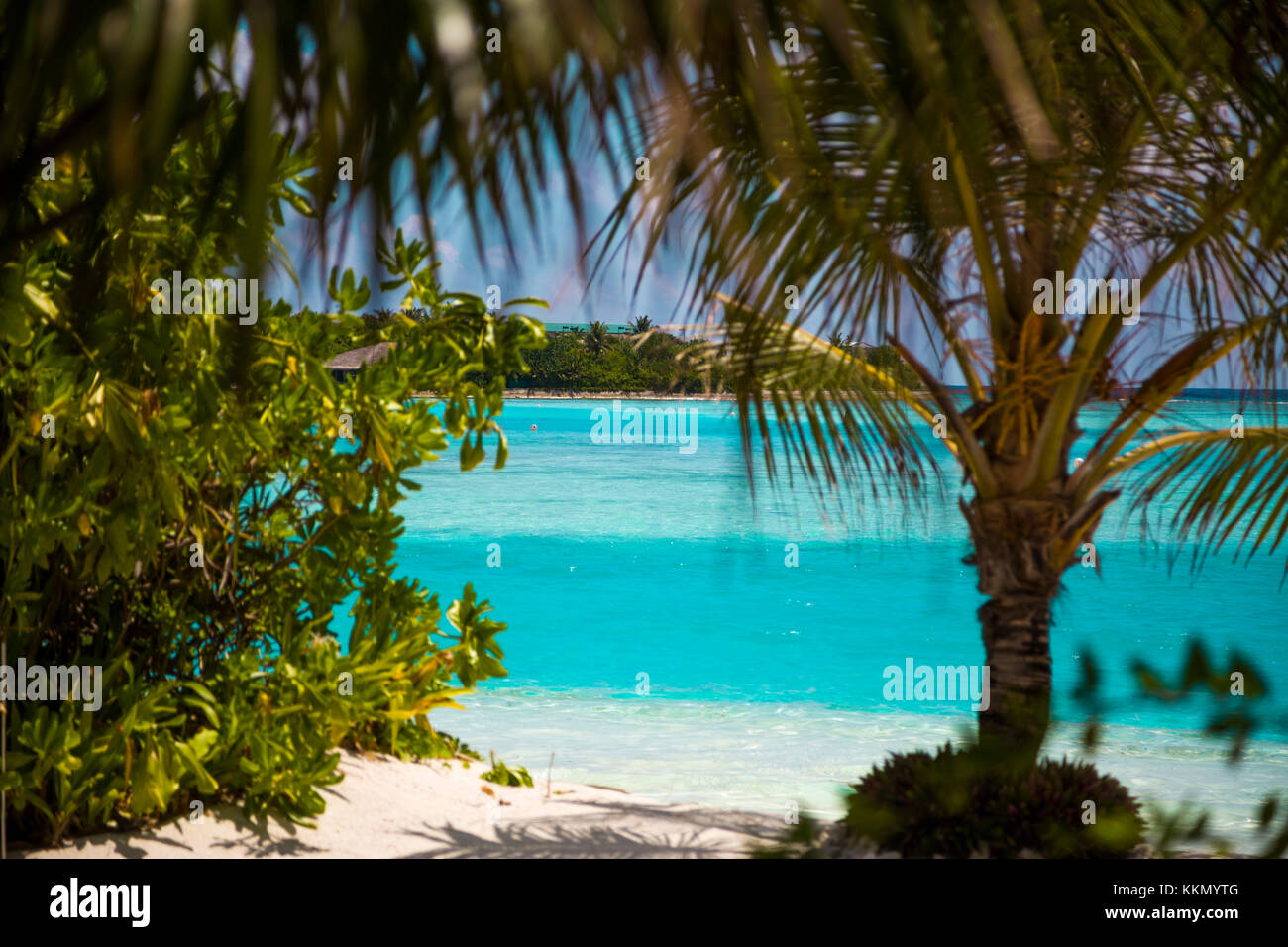 Path to the Paradise. Small Path of Sand with Vegetation at Side which ...