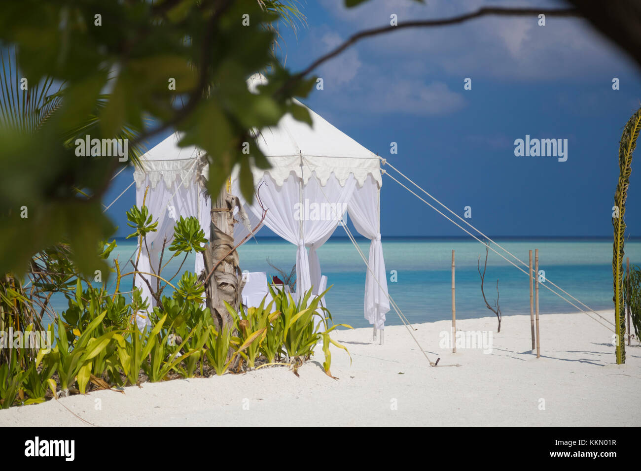Dining table in the beach in Maldives. There is a branch out of focus ...
