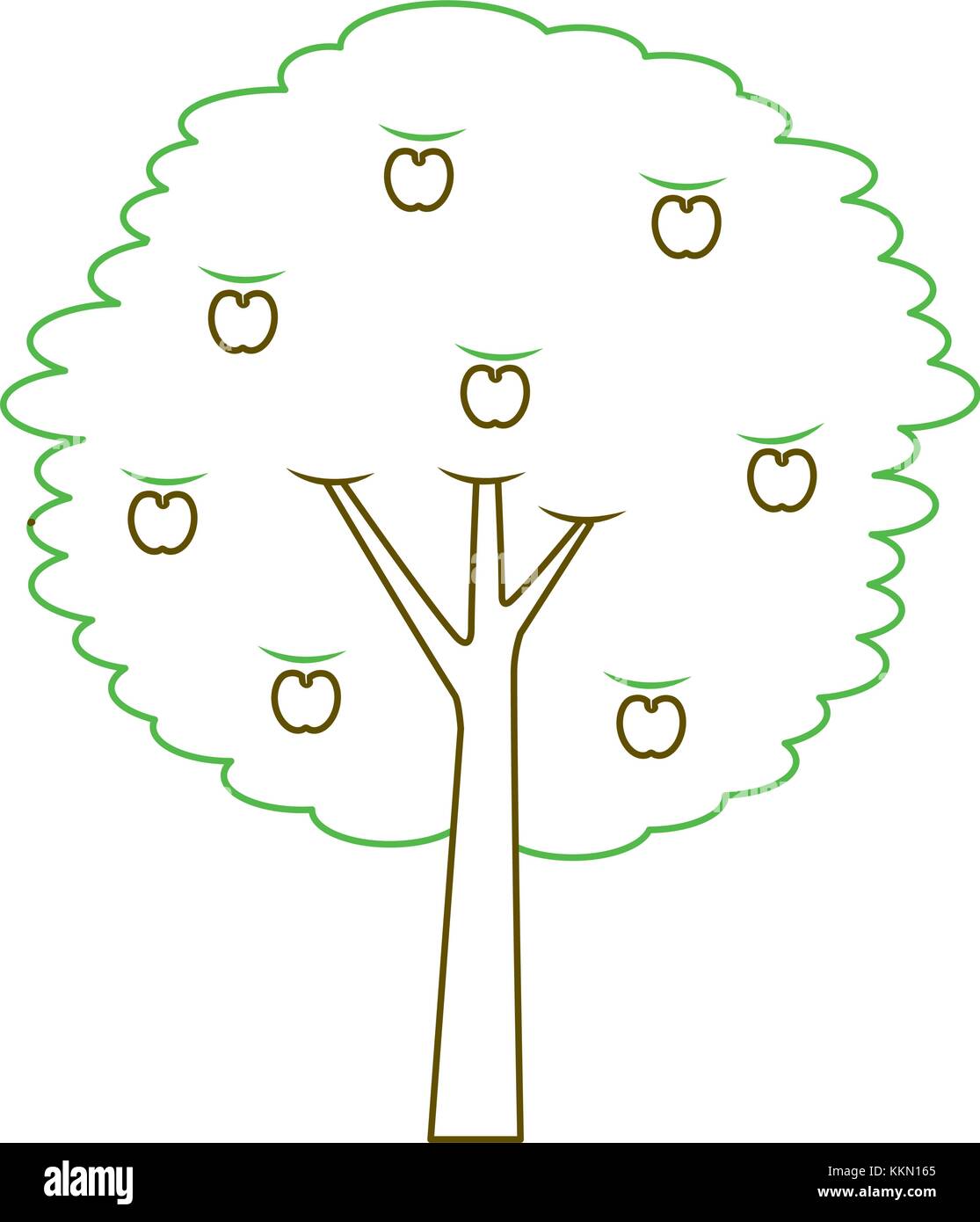 fruit apple tree agriculture nature botanical Stock Vector Image & Art ...