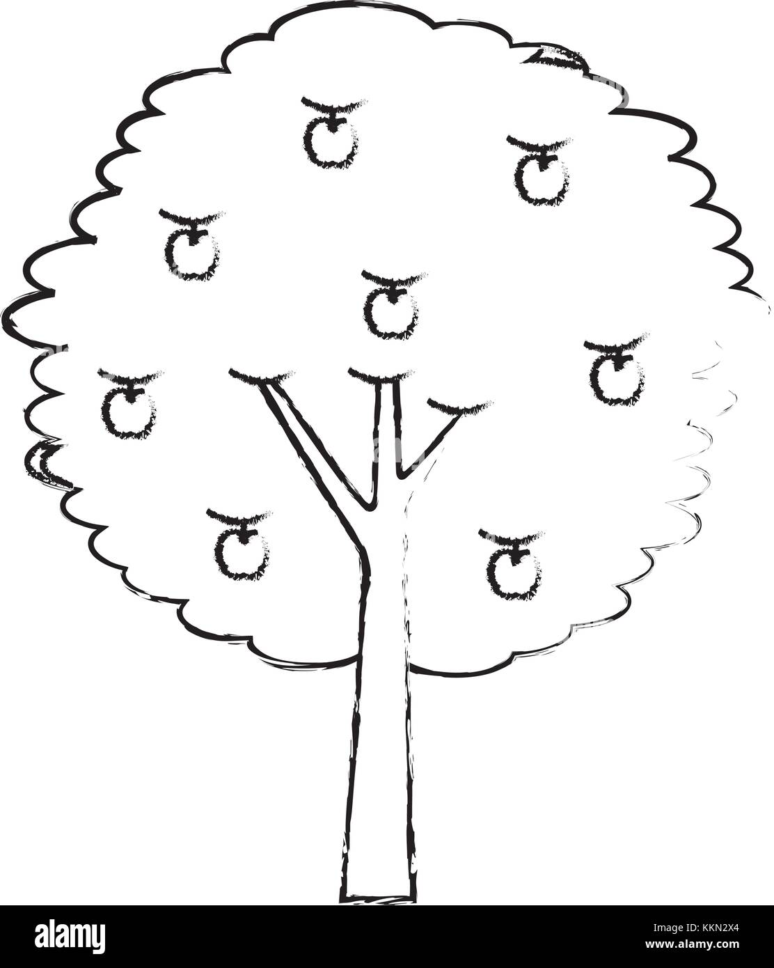 fruit apple tree agriculture nature botanical Stock Vector Image & Art ...