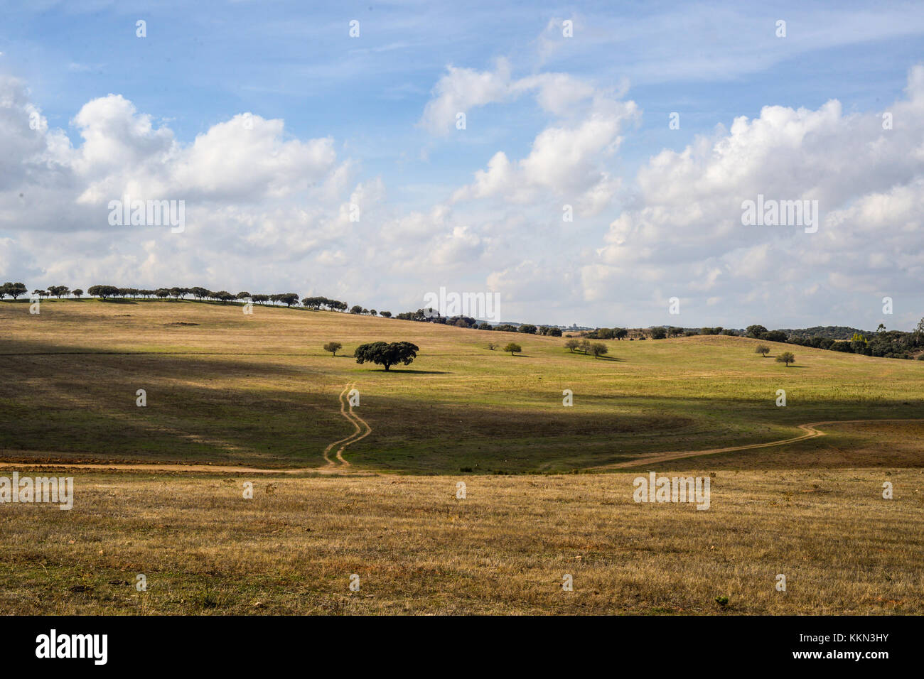 Landscape in Eastern Portugal, near the Spanish border Stock Photo - Alamy