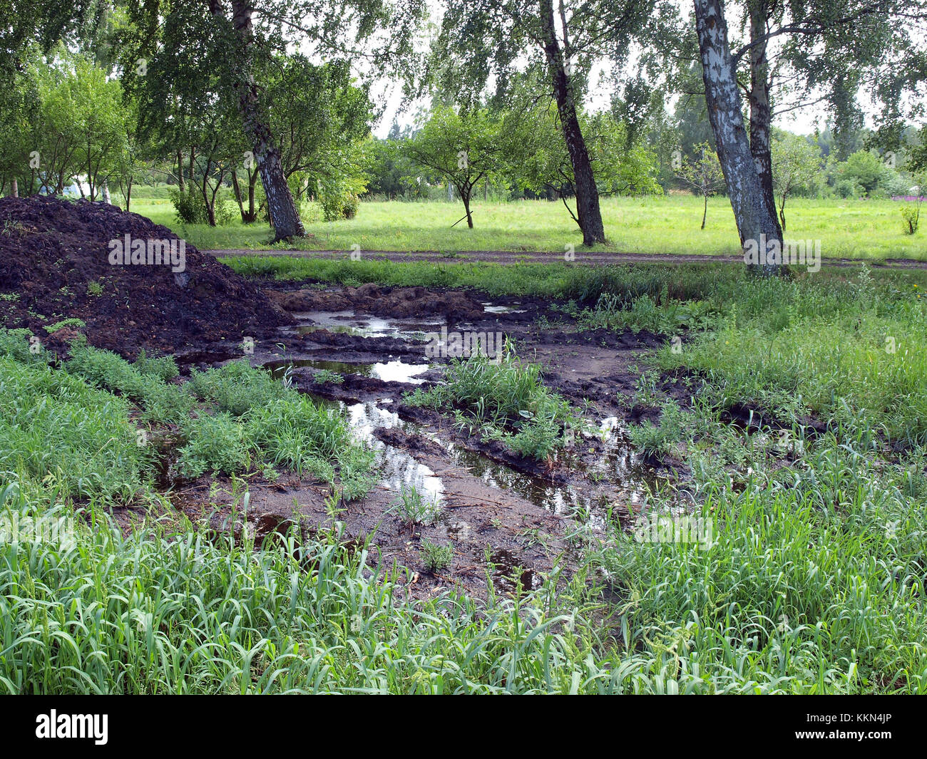 Big mud and water puddles in garden after rain Stock Photo - Alamy