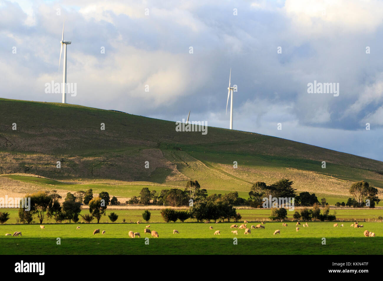 Australia, Waubra, alternative energy, pasture, sheep, solar power ...