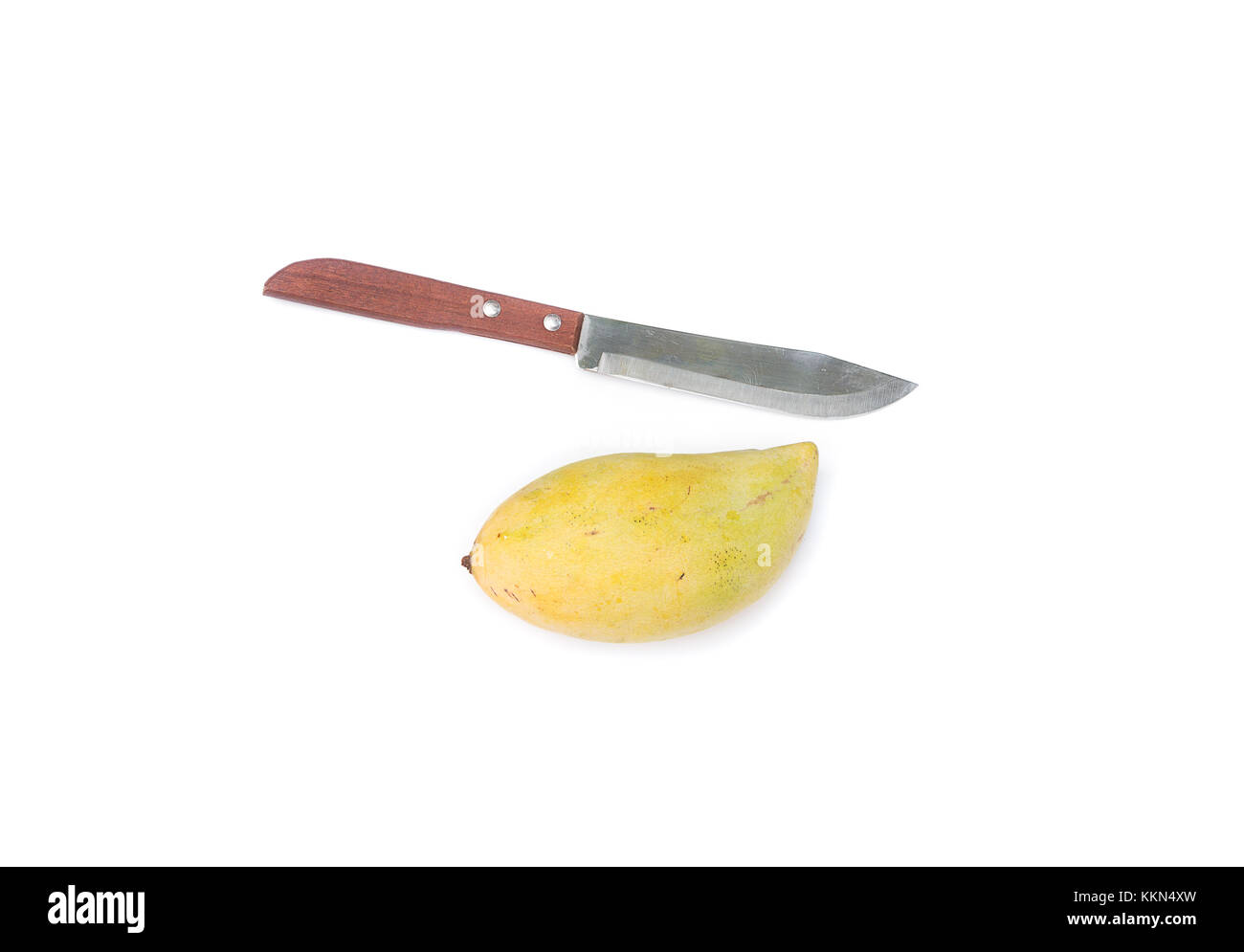 mango and knife, ripe mango and the paring knife used to peel isolated ...