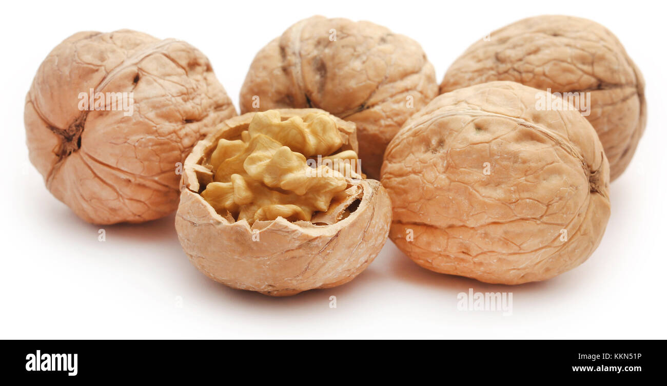 Walnut isolated over white background Stock Photo - Alamy