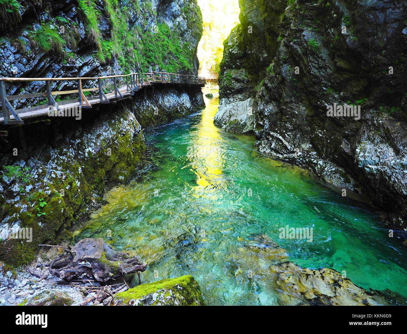 View of the vintgar gorge near lake bled, slovenia Stock Photo - Alamy