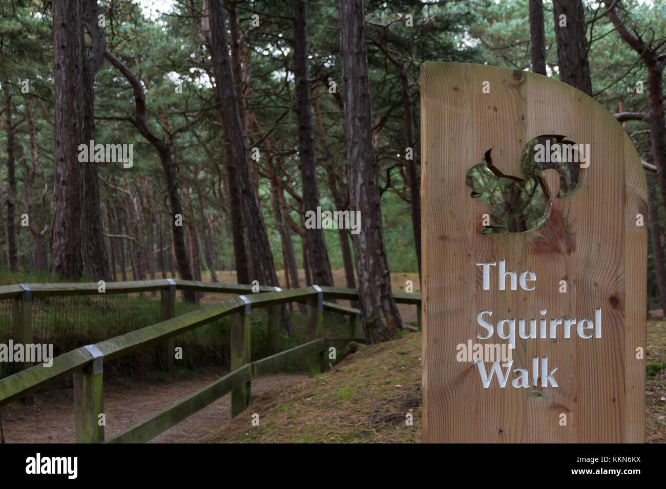 Formby national trust hi-res stock photography and images - Alamy