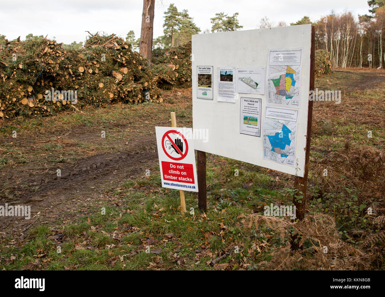 Forestry tree felling signs to create more heathland habitat, on Upper ...