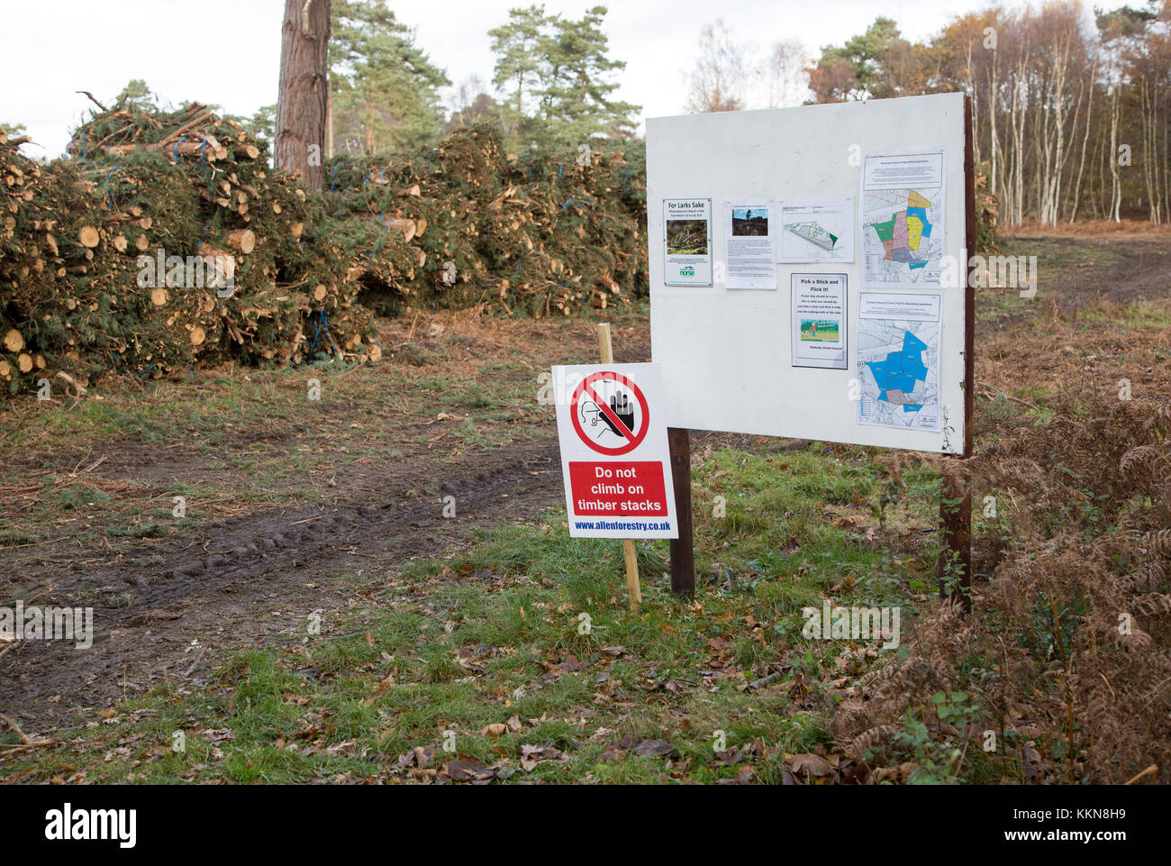 Forestry tree felling signs to create more heathland habitat, on Upper ...