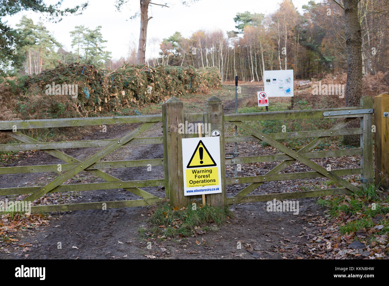 Forestry tree felling signs to create more heathland habitat, on Upper ...