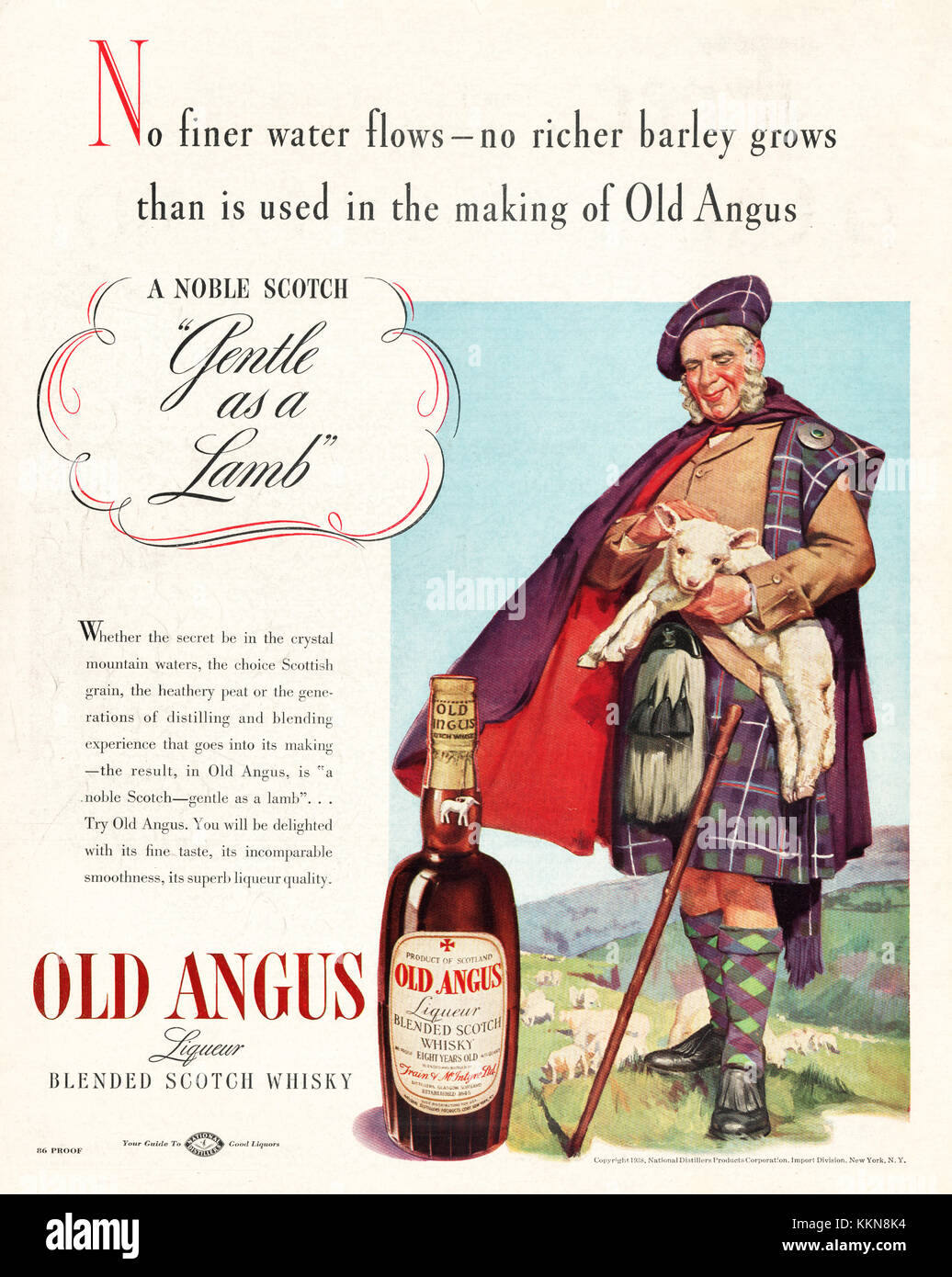 Old angus hi-res stock photography and images - Alamy