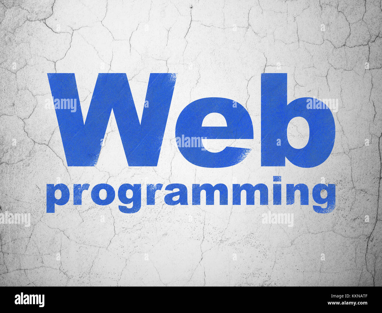Web design concept: Web Programming on wall background Stock Photo - Alamy