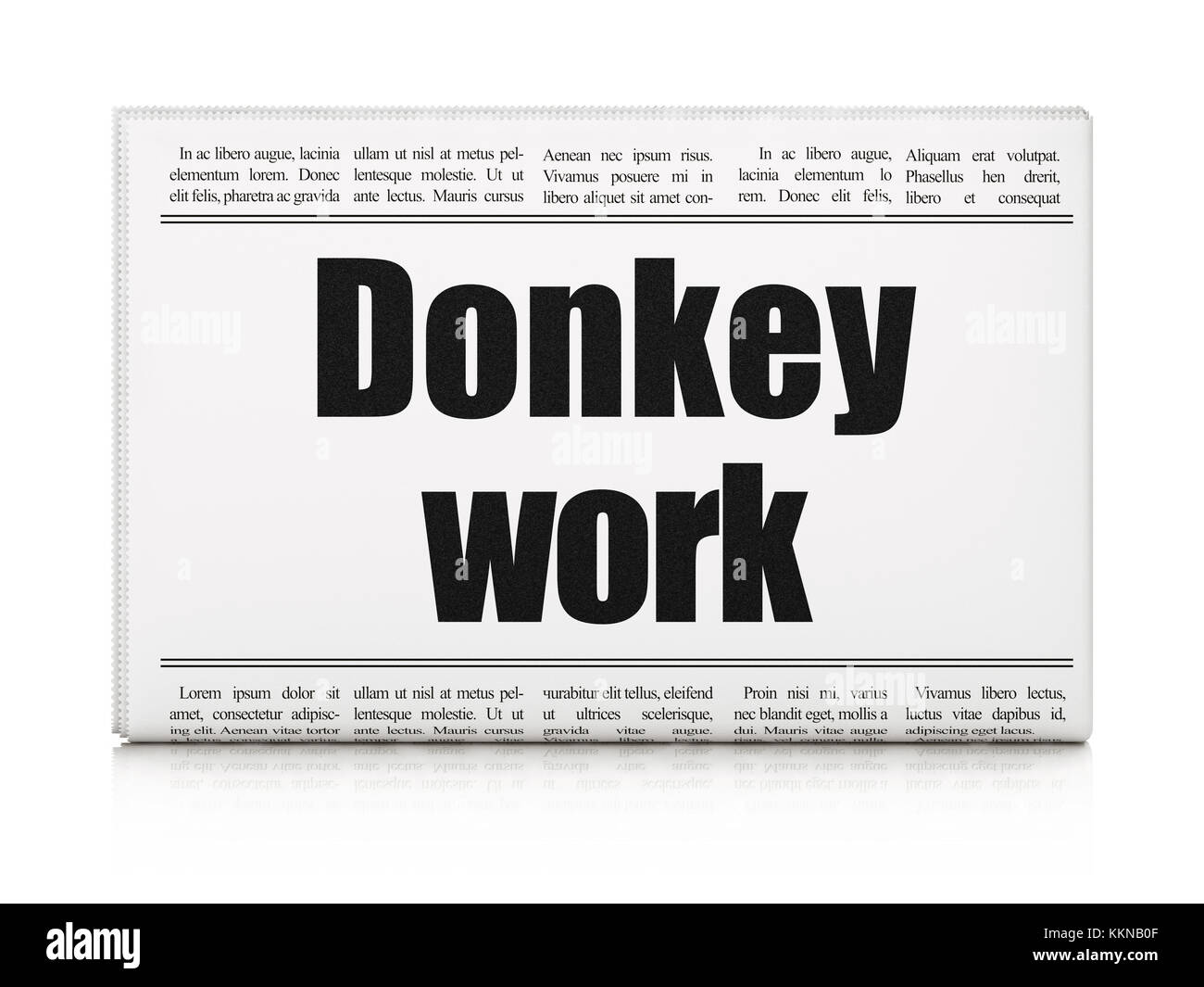 Donkey management hi-res stock photography and images - Alamy