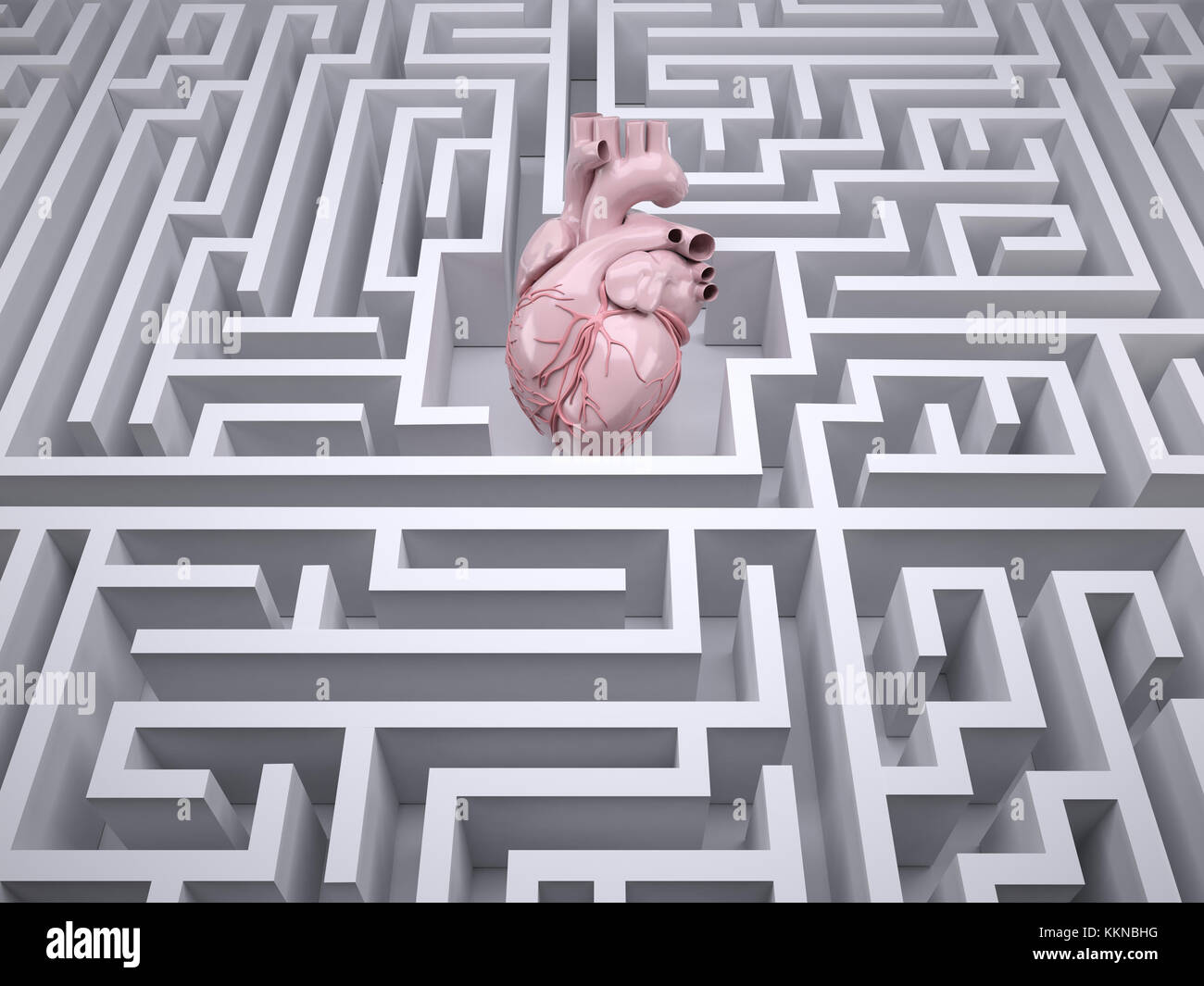human heart organ in the labyrinth maze, 3d illustration Stock Photo ...