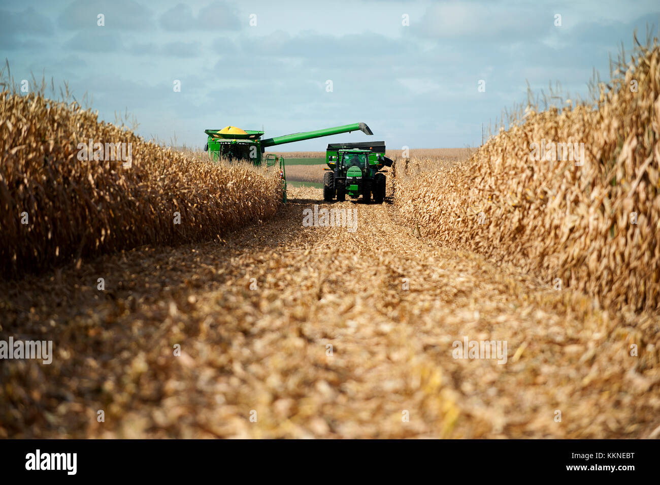 Corn Hopper High Resolution Stock Photography and Images - Alamy