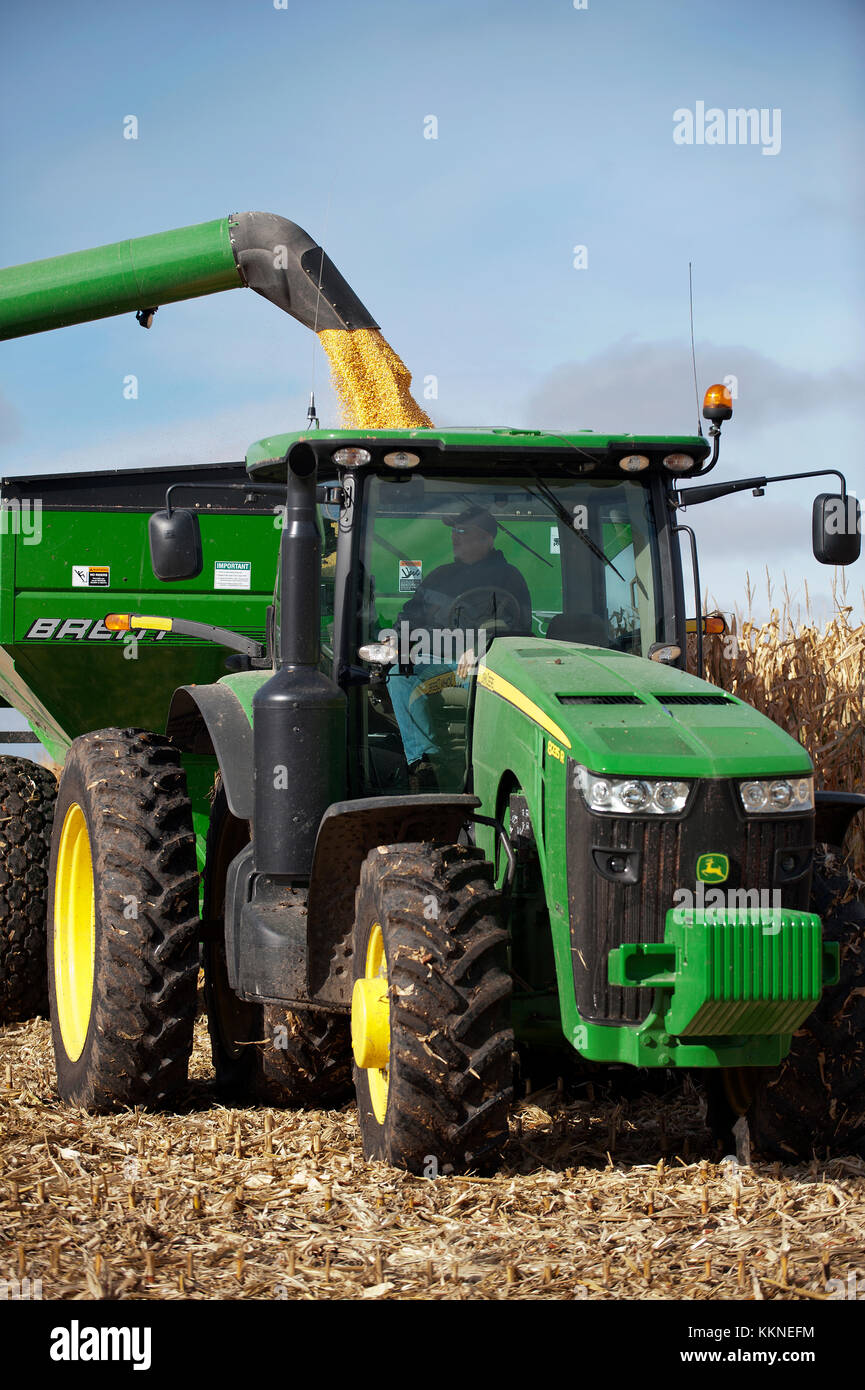 JOHN DEERE COMBINE UNLOADING CORN IN TO HOPPER IN UTICA, MINNESOTA ...