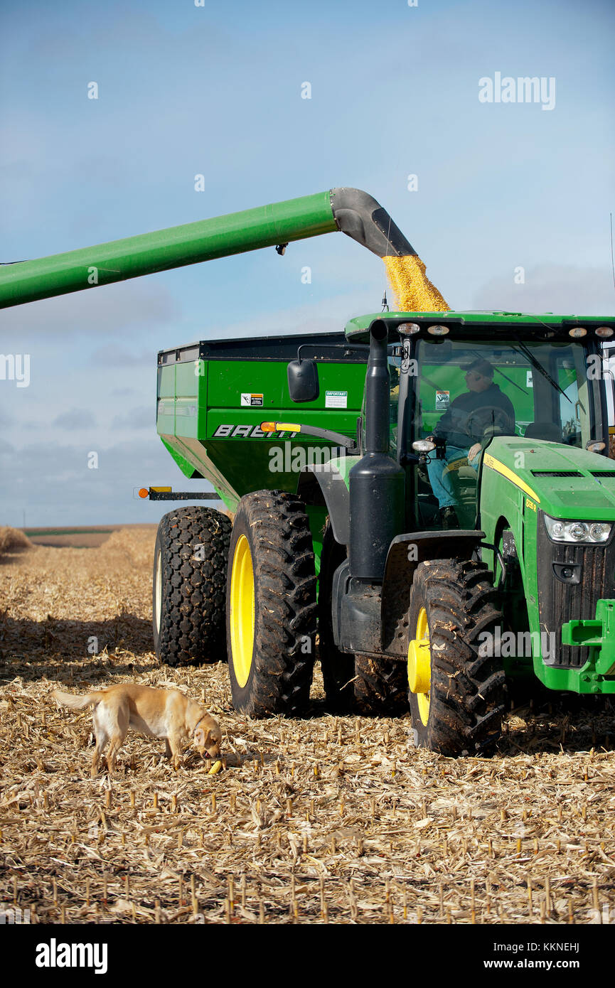 Corn Hopper High Resolution Stock Photography and Images - Alamy